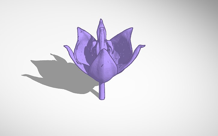 Plant! by Mat - Mat | Download free STL model | Printables.com