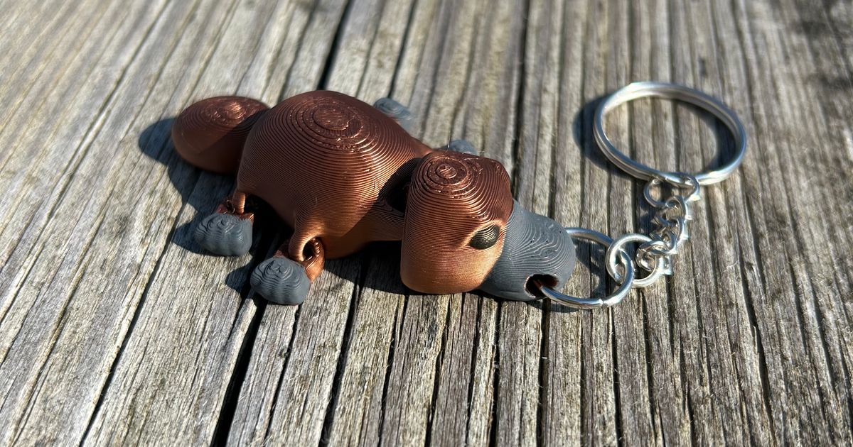 Platypus Multiple Joints Keychain by Built_Over_Bot | Printables Store