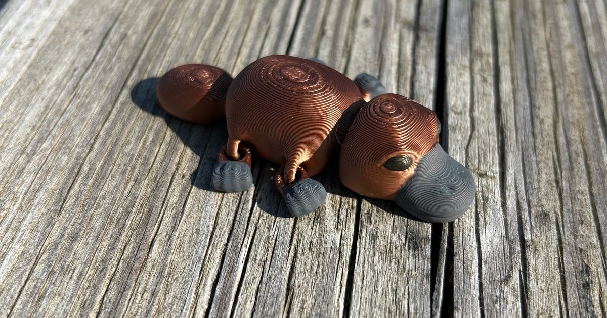 Platypus Multiple Joint Fidget by Built_Over_Bot | Printables Store