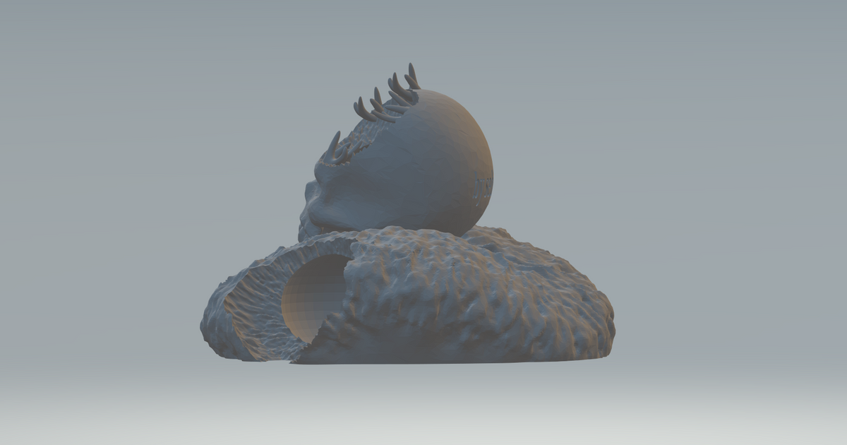 skull on coral - decoration by Sebik Konecny | Download free STL model ...