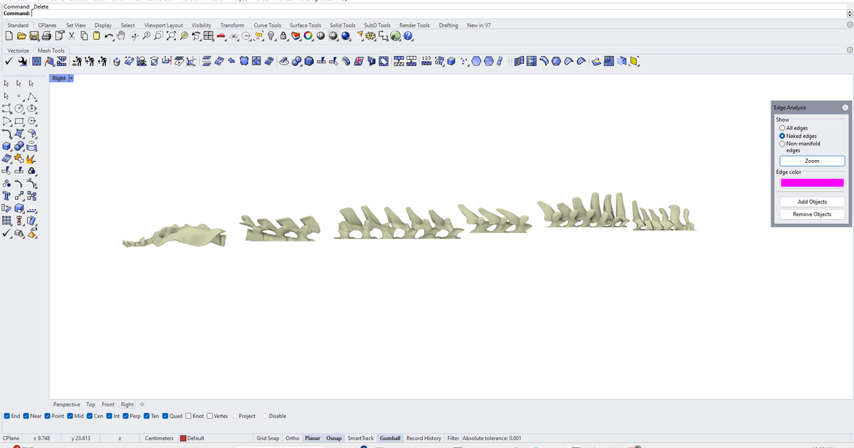 Easy print Spine by carlascreashuns | Download free STL model ...