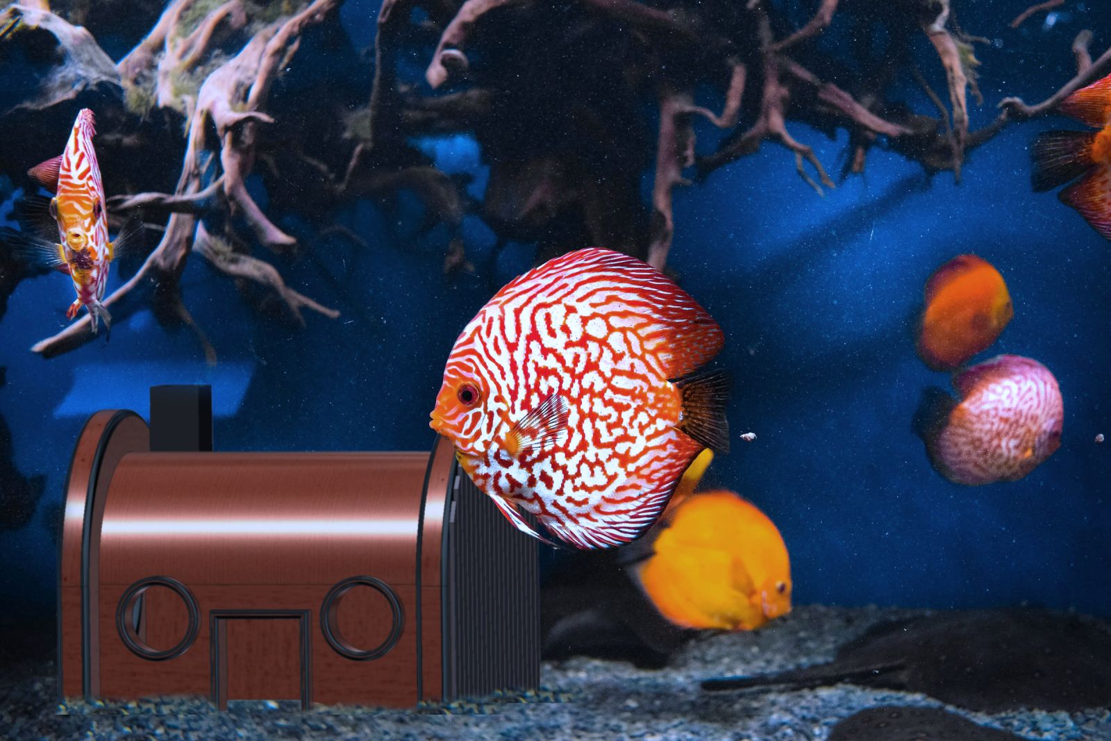 Krusty Krab Fish Tank Accessories by Lubomir Georgiev | Download free ...