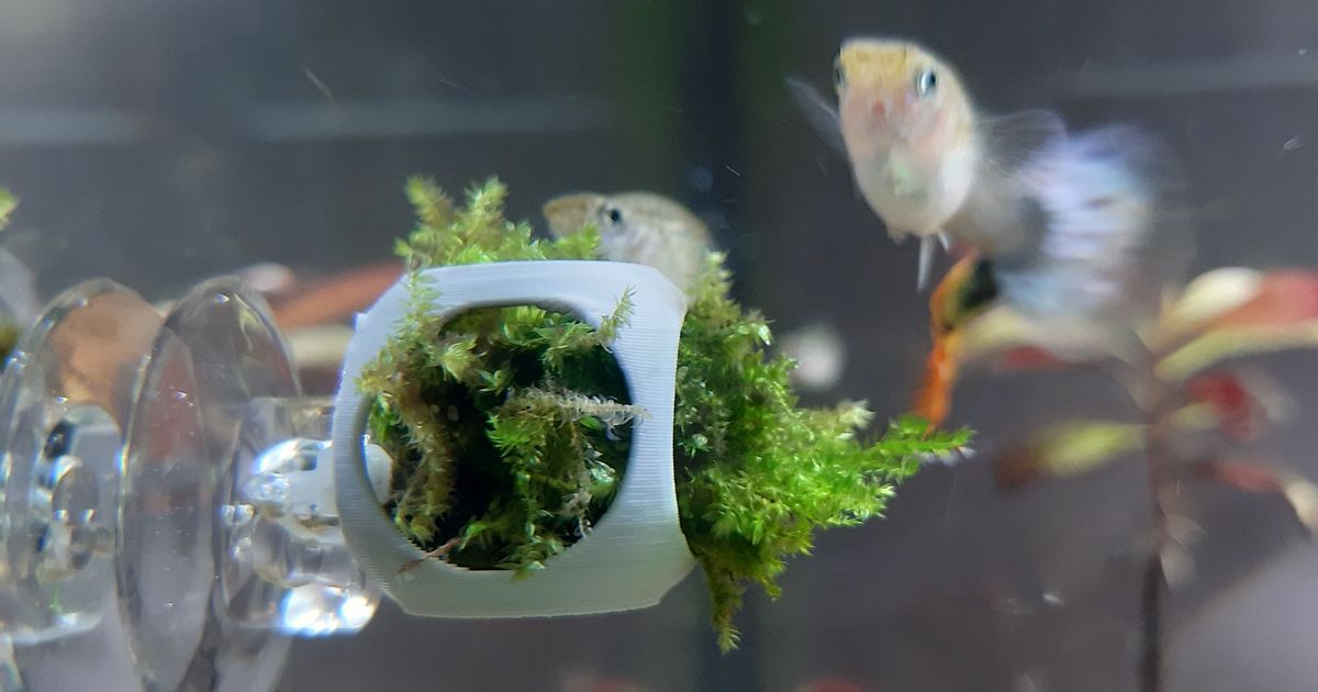 1g Aquarium Moos/Plant wall mount (+multiple holder) by Monkeybone91 ...