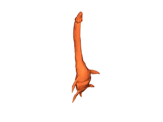 Styxosaurus by Pan Wołodyjowski | Download free STL model | Printables.com