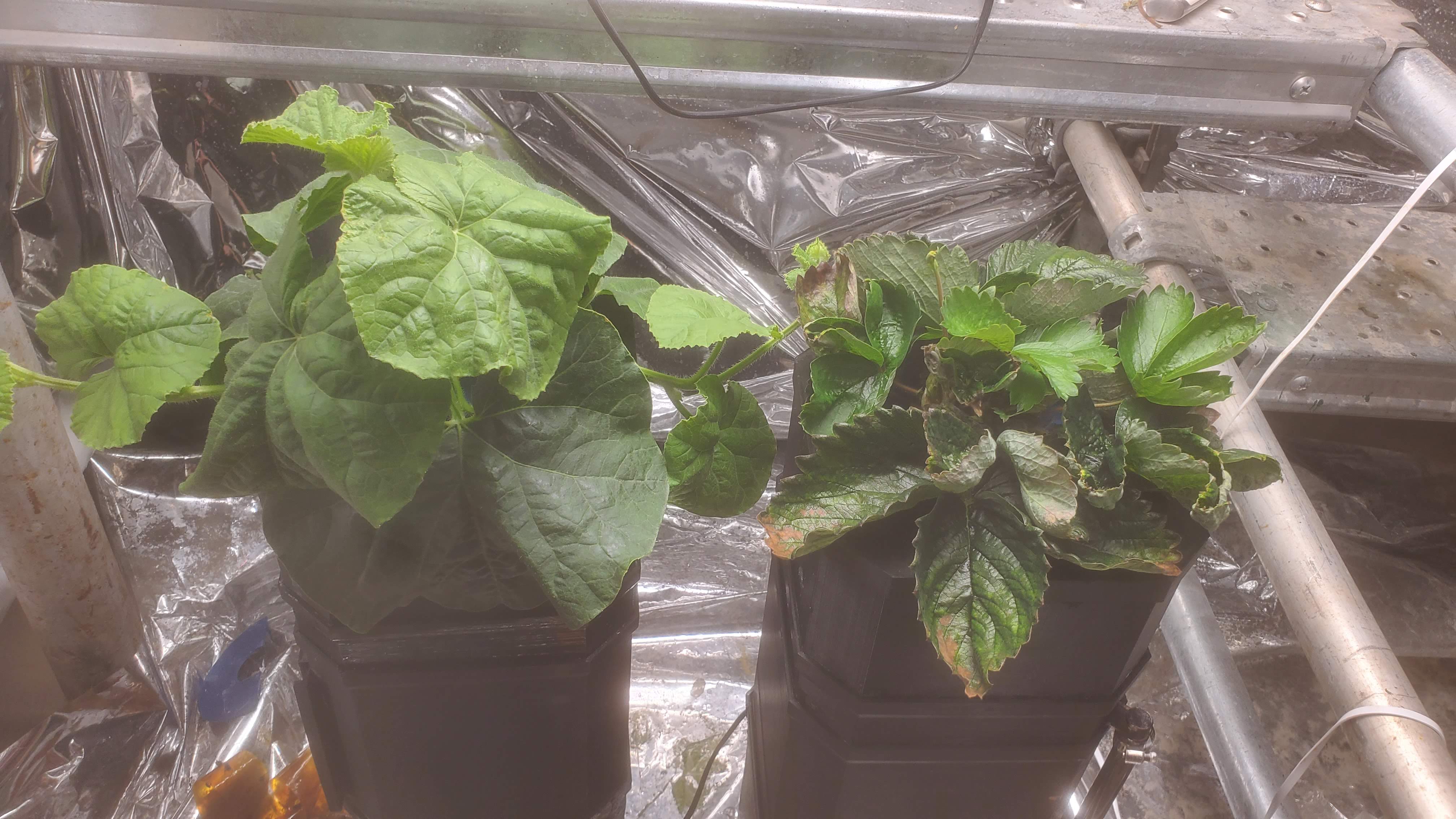 Mod Pot (Modular Aeroponics Grow System) by Nick | Download free STL ...