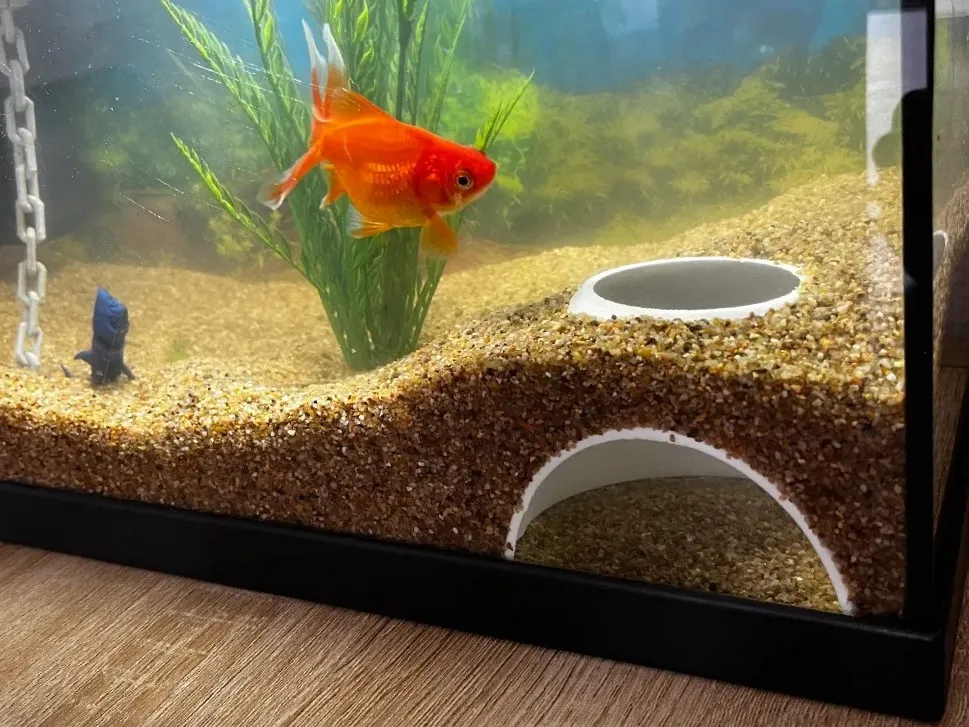 Free 3d Fish Aquarium 11306. Free 3D Aquarium Model Download