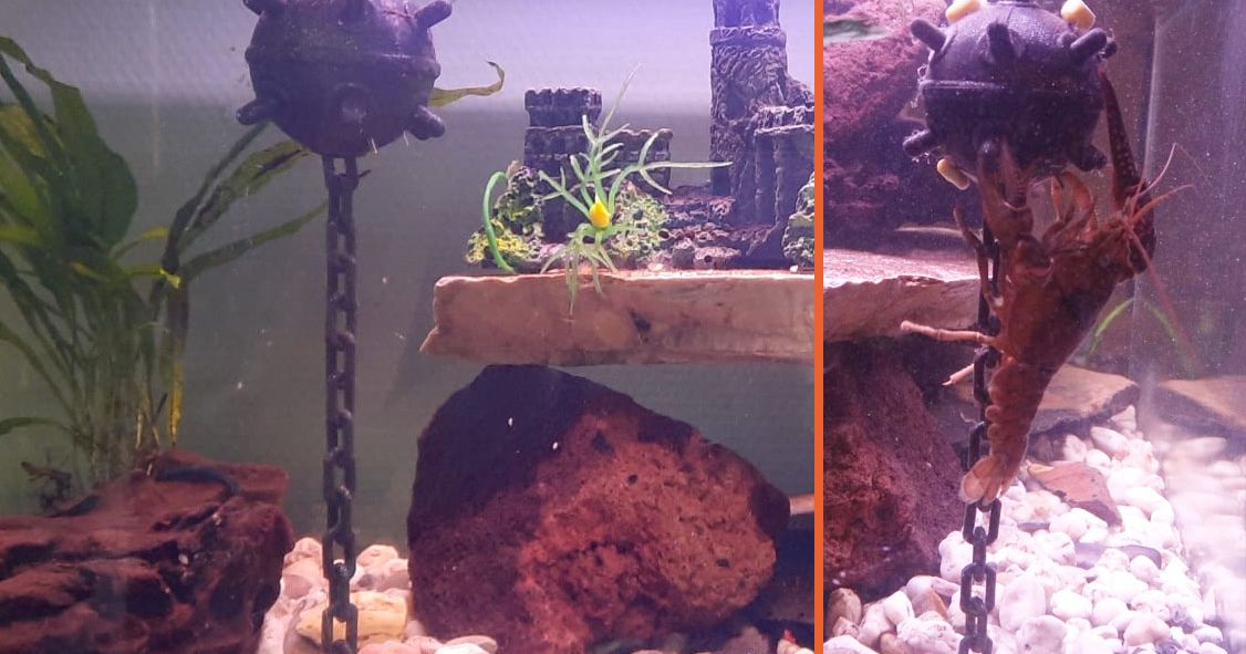 Floating Aquarium mine - no support, no glue, no fasteners by Rossero ...