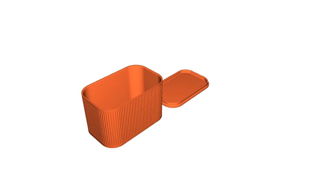 Magic Container: Multiple Sizes with Dividers and Lid by Kunzite ...