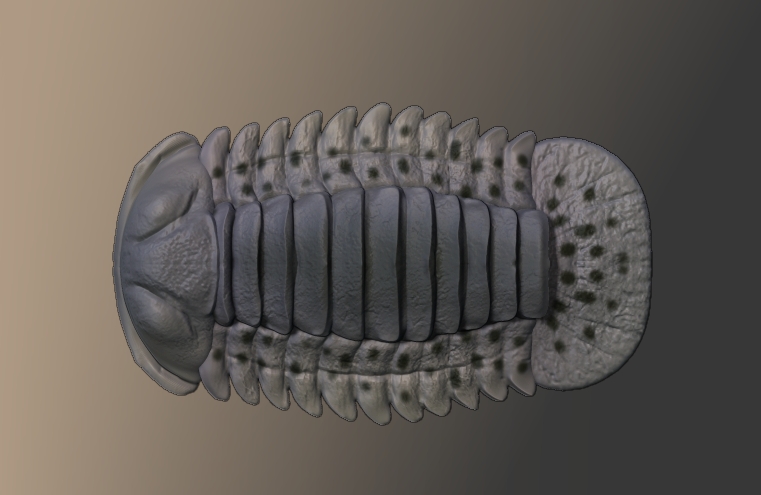 Trilobite Figurine by DragonArtist15 | Download free STL model ...