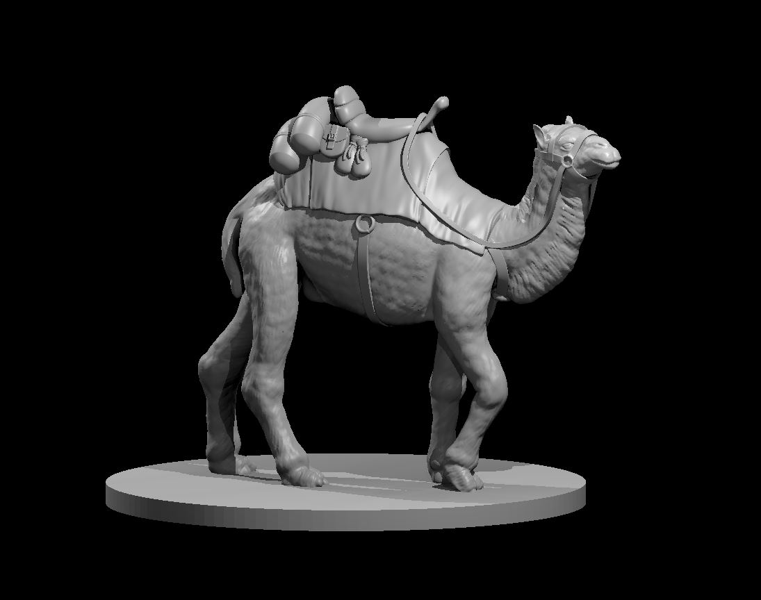 Camel Mount with and without mini slot by MZ4250 | Download free STL ...