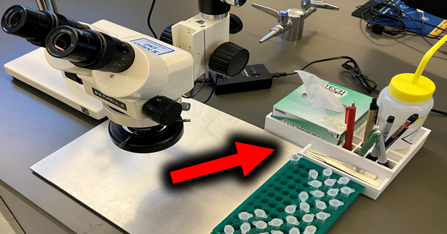 Microscope Accessory Holder & Organizer by Mark Nakata | Download free ...