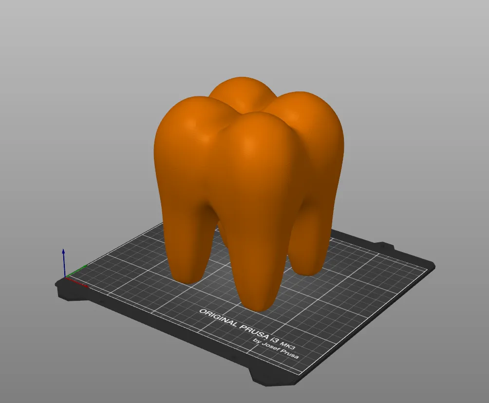 Teeth by David Kisel | Download free STL model | Printables.com