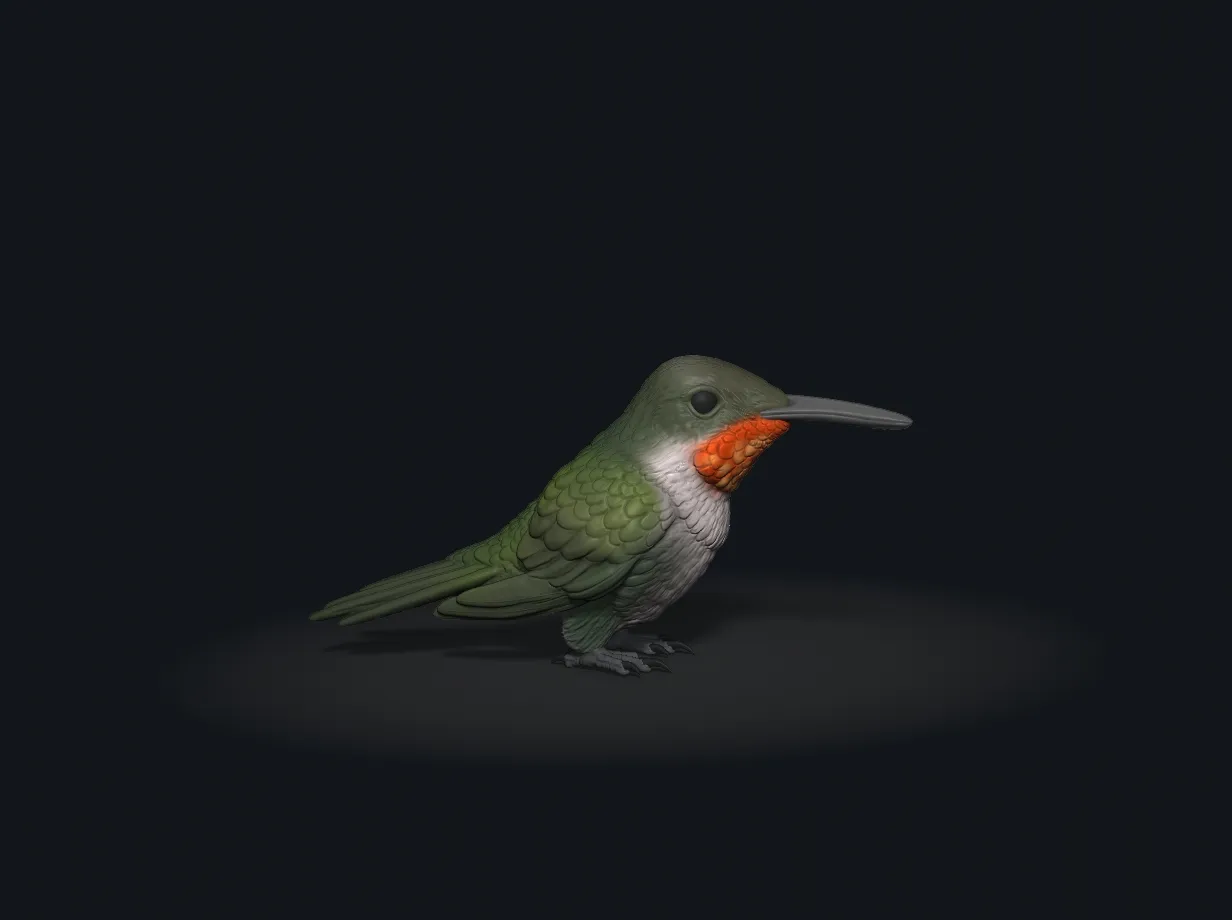 Perched Hummingbird by DragonArtist15 | Download free STL model ...