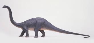 diplodocus by seth the yutyrannus | Download free STL model ...