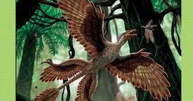 microraptor by seth the yutyrannus | Download free STL model ...