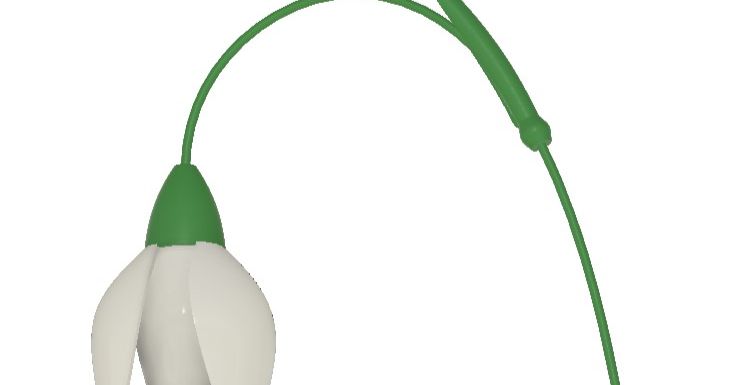 Schneeglöckchen / Snowdrop flower by Joaelso | Download free STL model ...