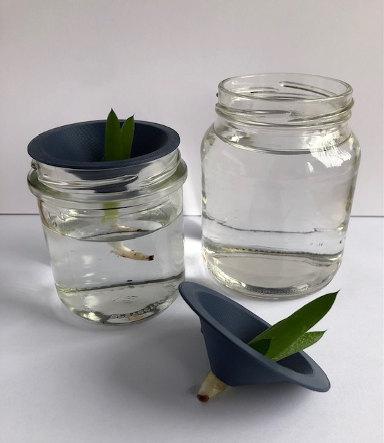 Helper for plant propagation by cuttings by Anna Müller | Download free ...