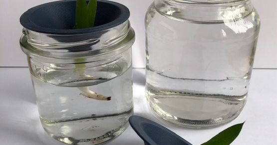 Helper for plant propagation by cuttings by Anna Müller | Download free ...