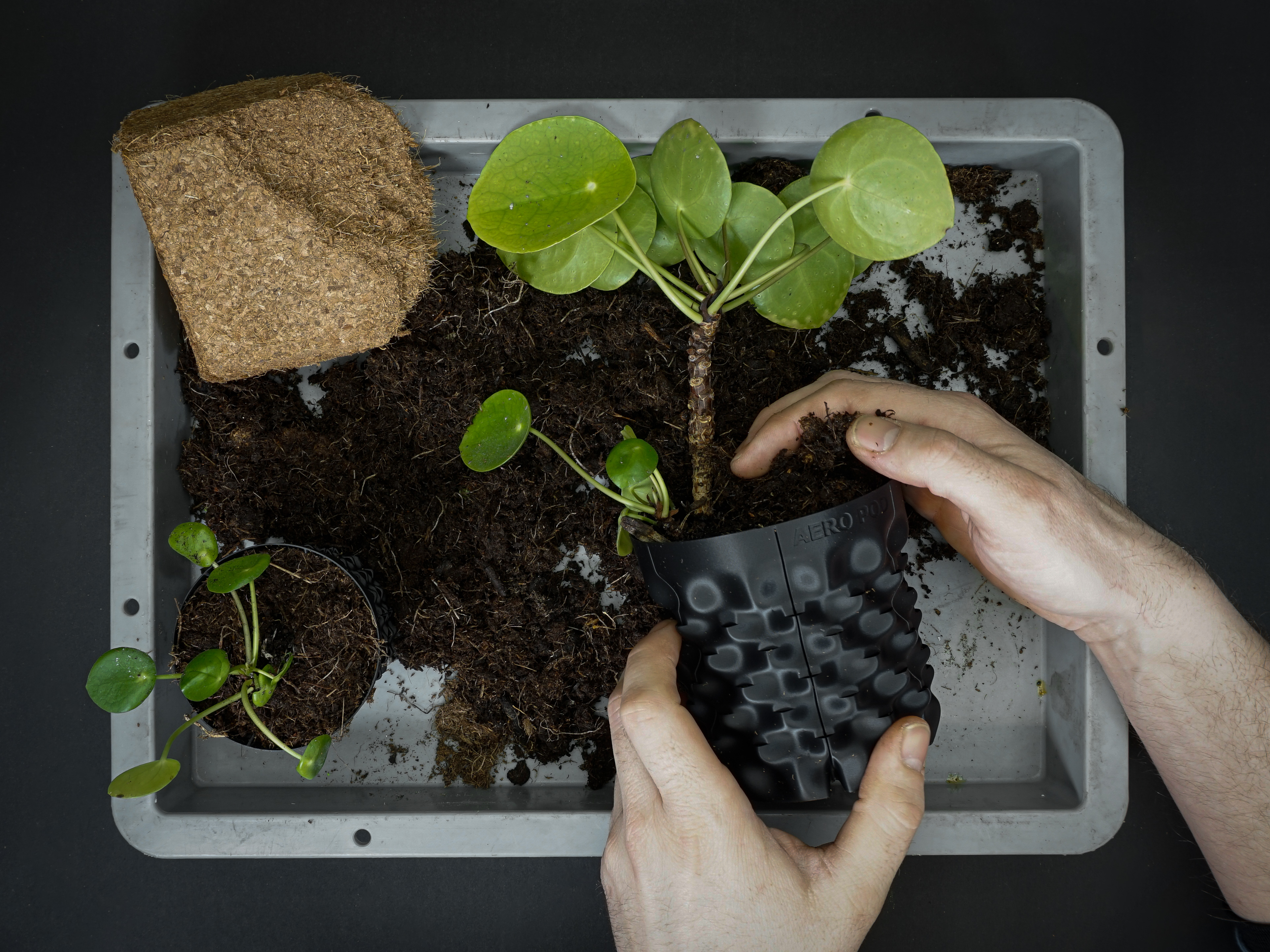 AEROPOD - Cone Basic - Flower Pot System by Heart Labs | Printables Store