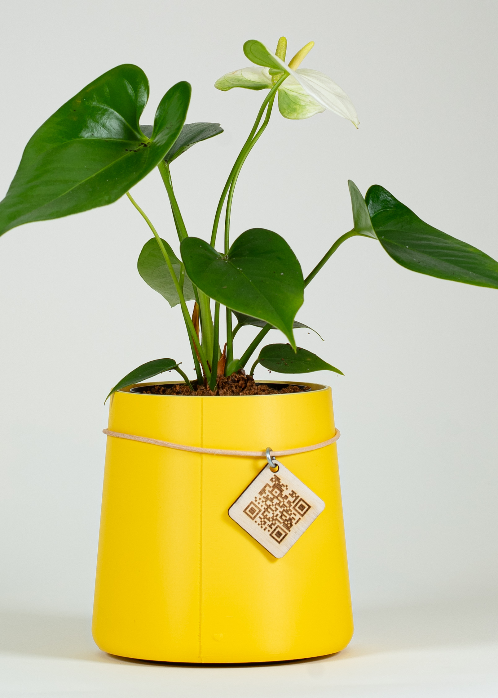 AEROPOD - Cone Basic - Flower Pot System by Heart Labs | Printables Store