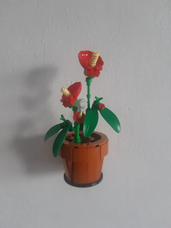 Tiny plants display hanger by japi | Download free STL model ...
