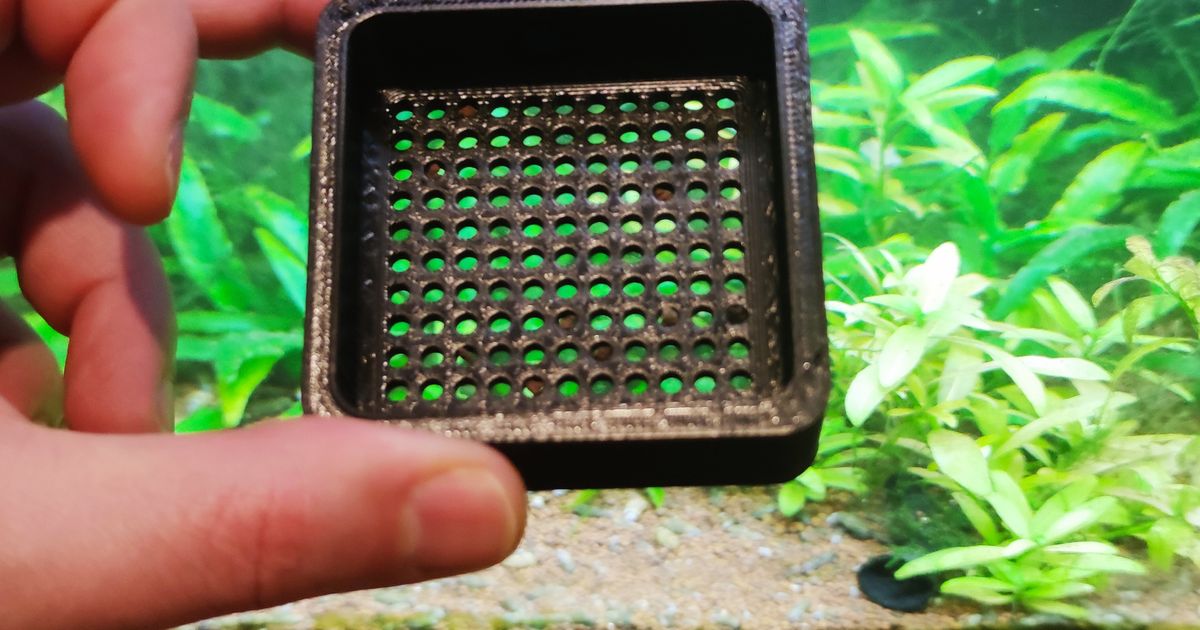 snail sieve by robert storm | Download free STL model | Printables.com