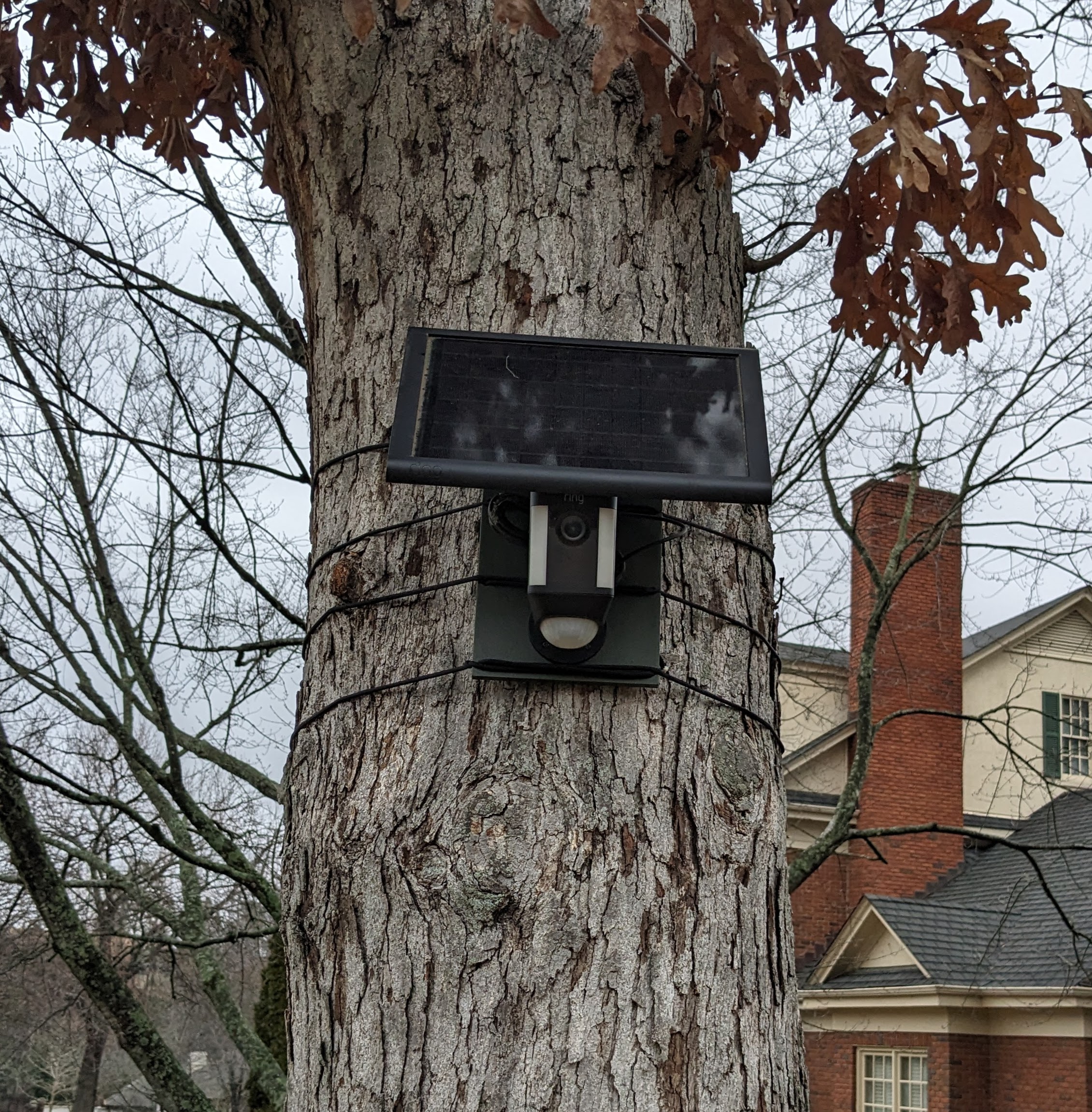 Tree Hugger Ring Video Mount by EastMemphis | Download free STL model ...