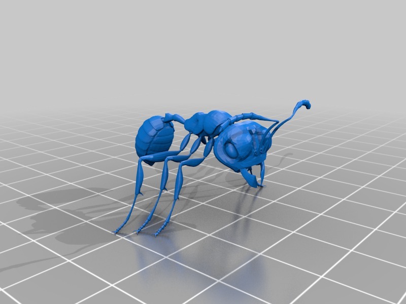 Ant by lamer house | Download free STL model | Printables.com