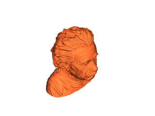 Albert Einstein SupportFree (low poly) by W1nter | Download free STL ...
