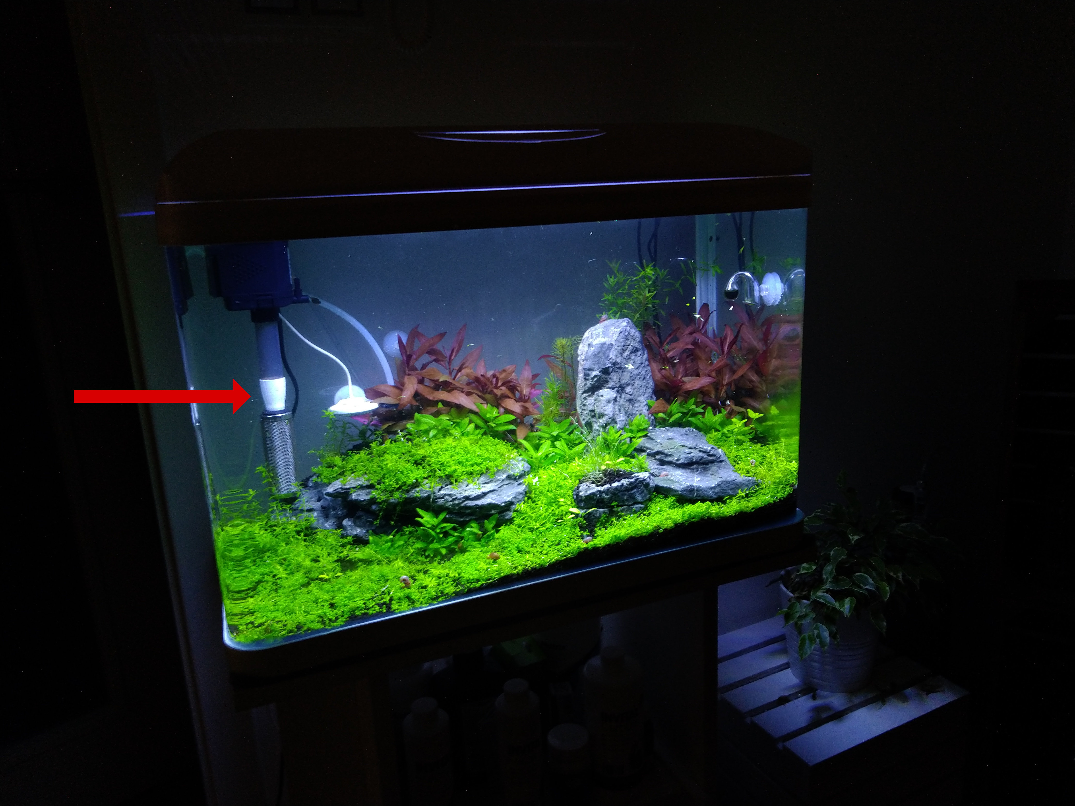 Adaptor for filter protector for INVITAL EasyTank aqua set by meron ...