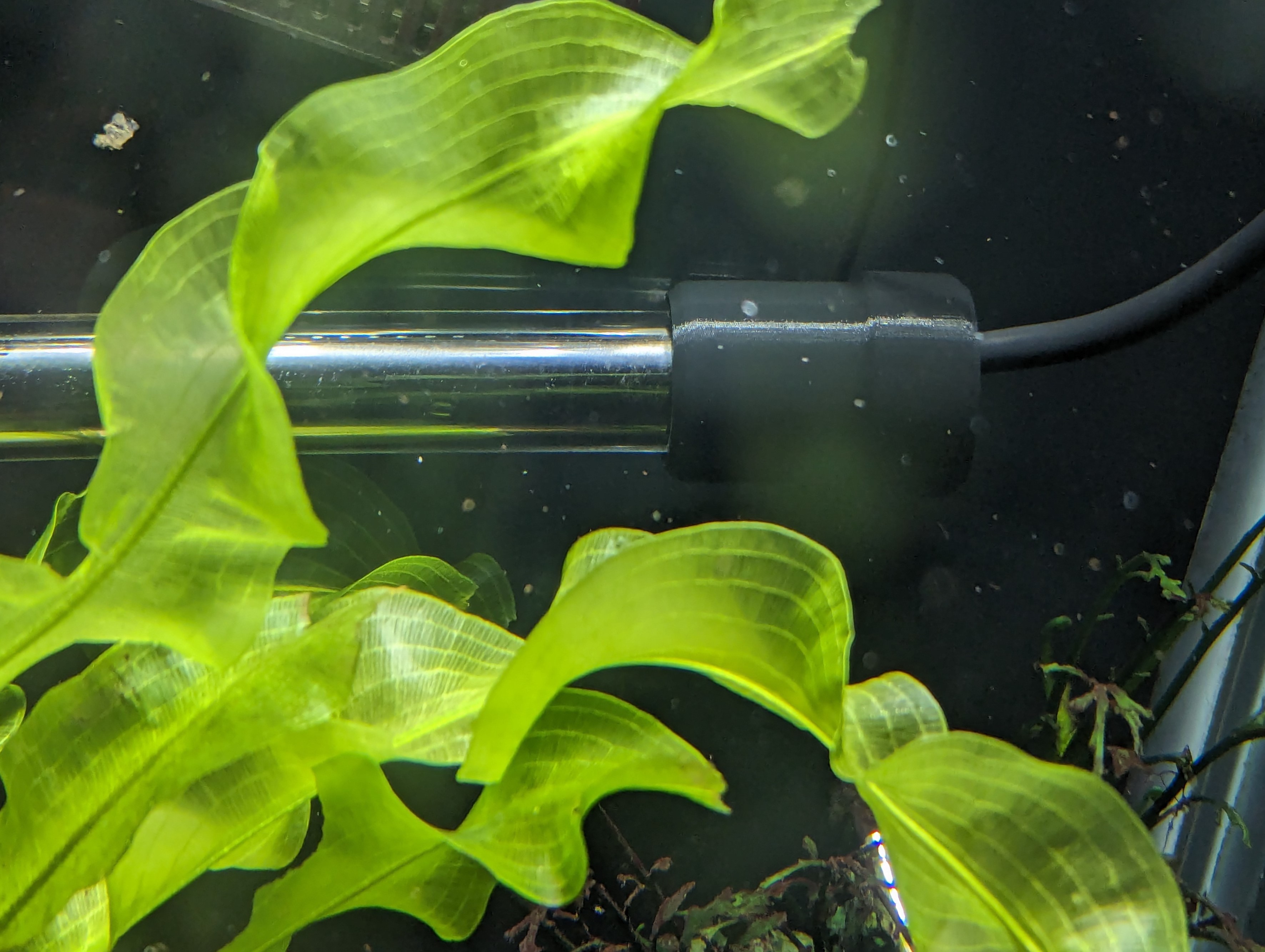 Eheim Jager - Cover for Heater Dial by The Printed Aquarium | Download ...