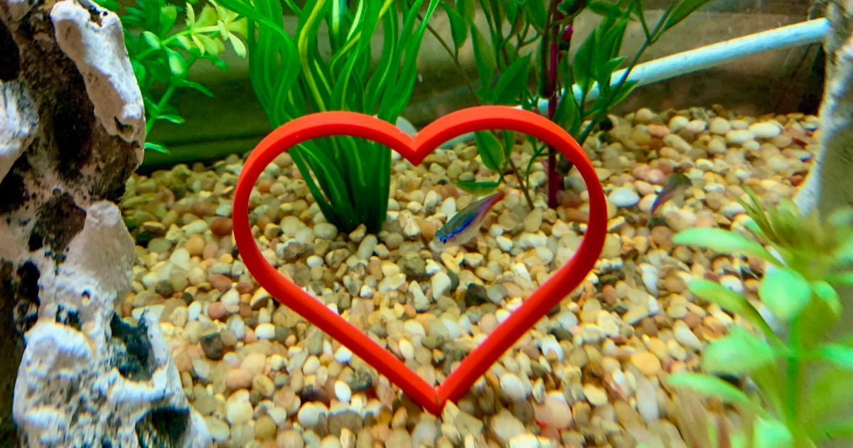 Fishy Heart by clayj | Download free STL model | Printables.com