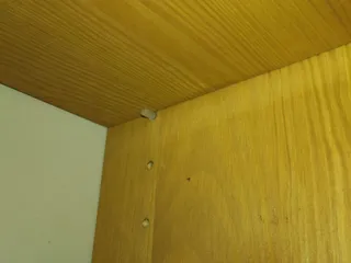 Ikea shelf pin sideways by Leskar Ta Tiz | Download free STL model ...