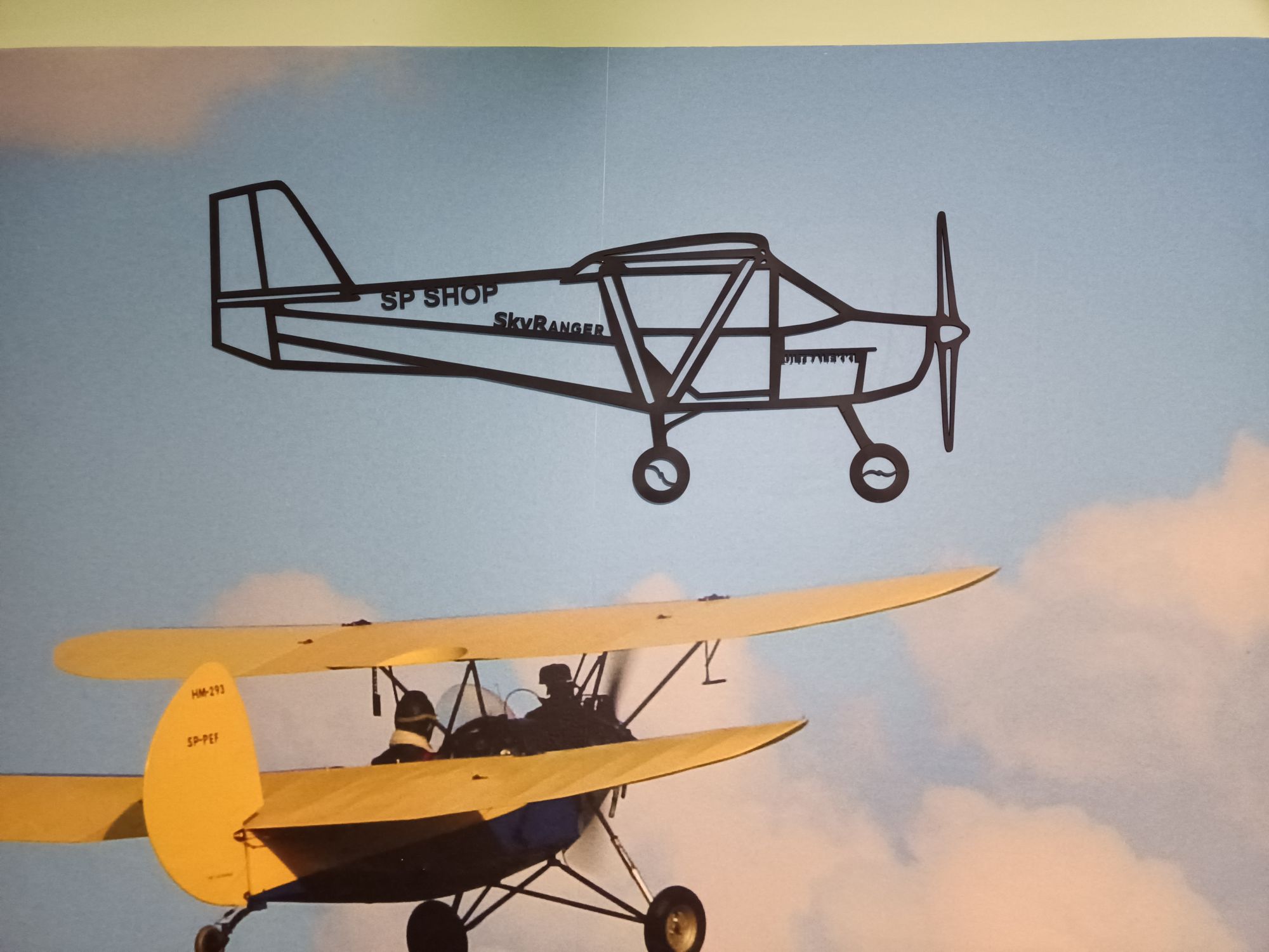 Aircraft PZL P11 , Skyranger by Jan Ba | Download free STL model | Printables.com