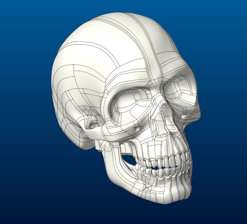 Shifting knob - SKULL by jawarmaniak | Download free STL model ...