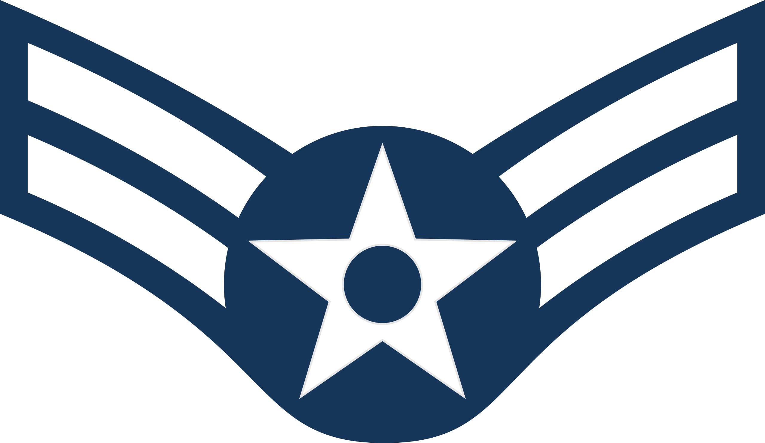 US Air Force E-3 - Airman First Class Rank Insignia by Scott Flowers ...
