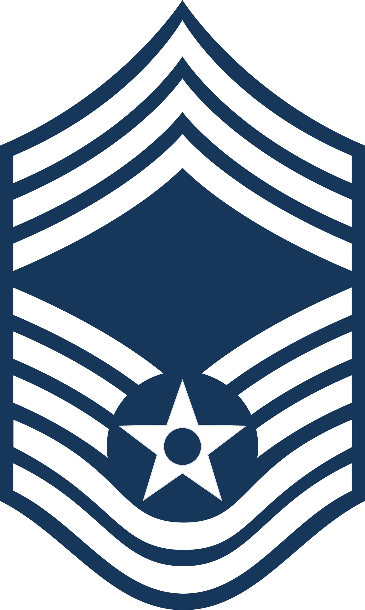 US Air Force E-9 - Chief Master Sergeant Rank Insignia by Scott Flowers ...