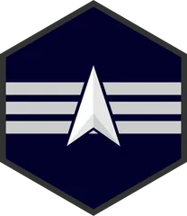 USSF - E-3 Specialist 3 Rank Insignia by Scott Flowers | Download free STL model | Printables.com