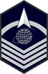 USSF - E-9 Chief Master Sergeant Rank Insignia by Scott Flowers ...