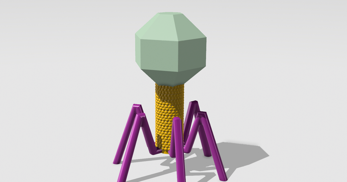 Virus Bacteriophage Biology Model by Stefano Barilli | Download free ...