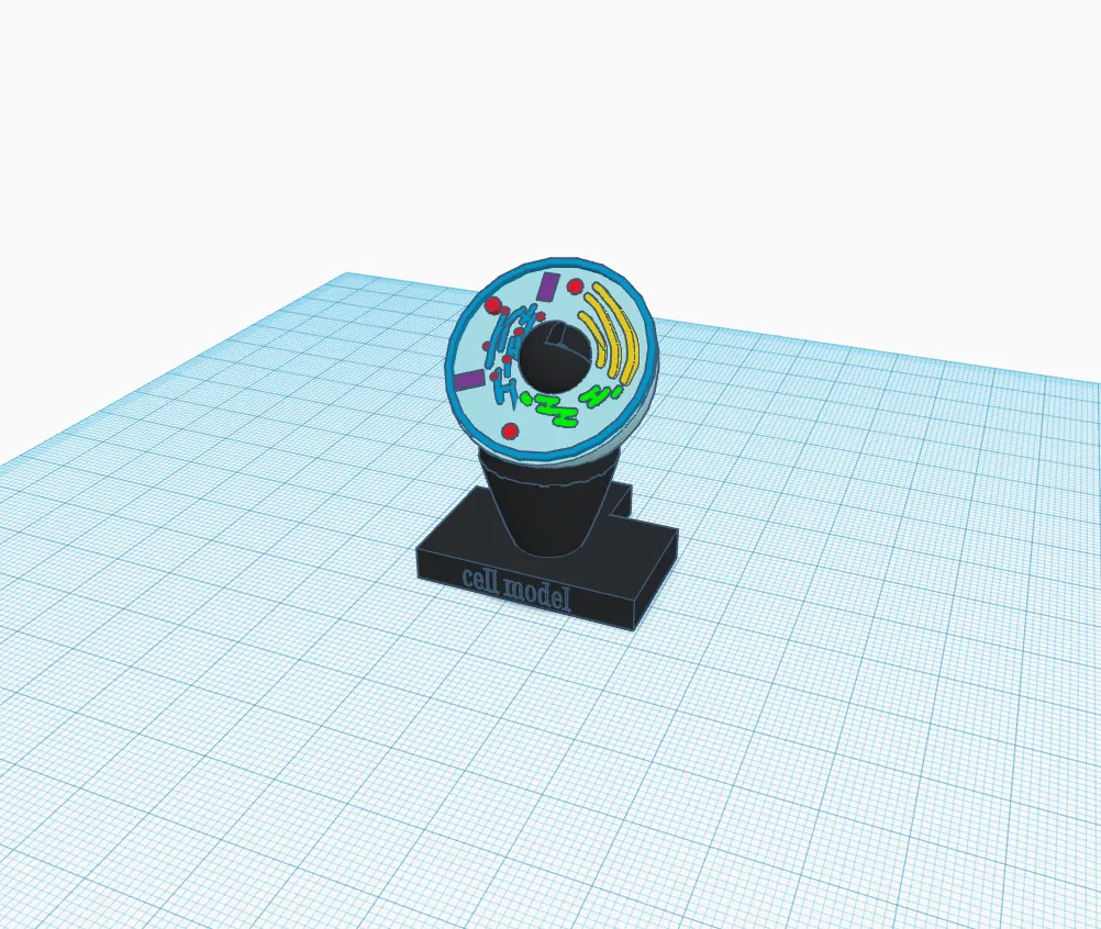 Cell Model by SorryNotSorry | Download free STL model | Printables.com