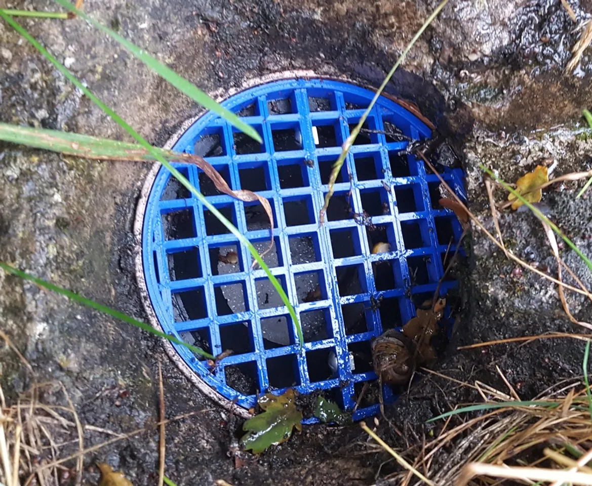 Drain cover by Les Kaye | Download free STL model | Printables.com