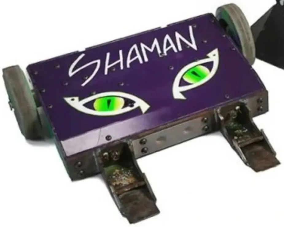 Shaman (Witchdoctor's minibot) for Hexbug Battlebots Curcuit Smash by ...
