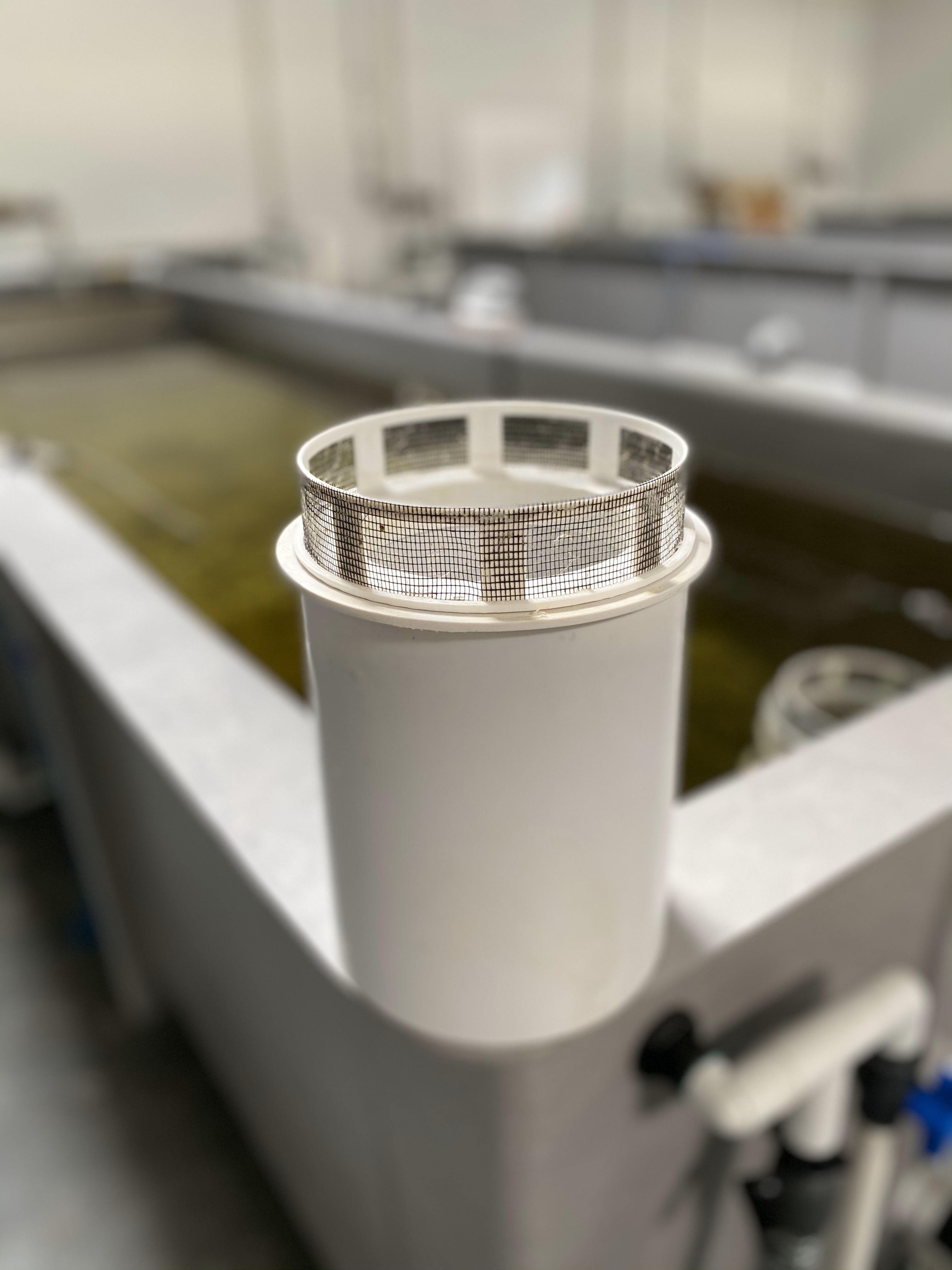 Skimmer Filter by SLCMAD | Download free STL model | Printables.com