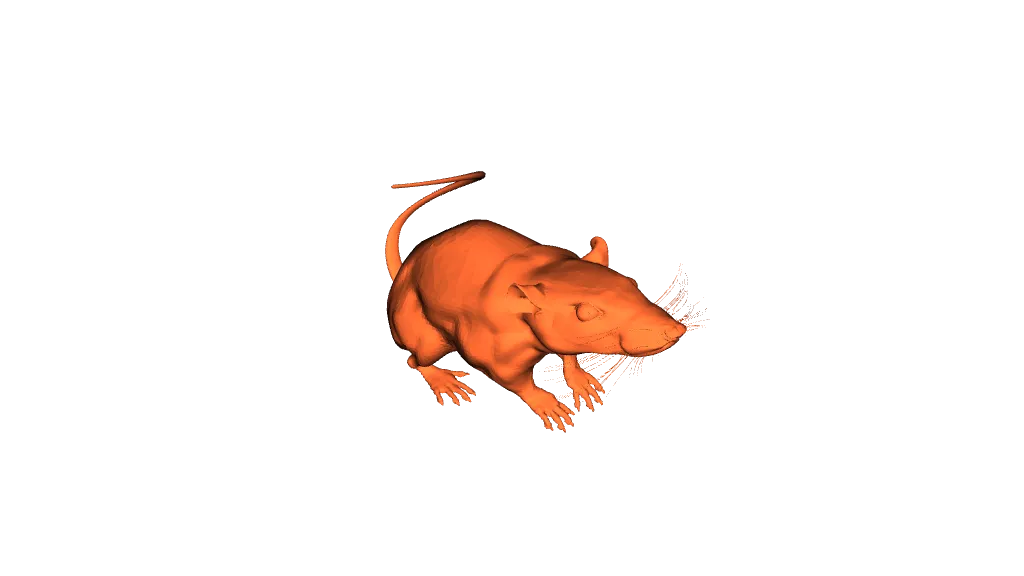 rat by Nicholas Knopfel | Download free STL model | Printables.com