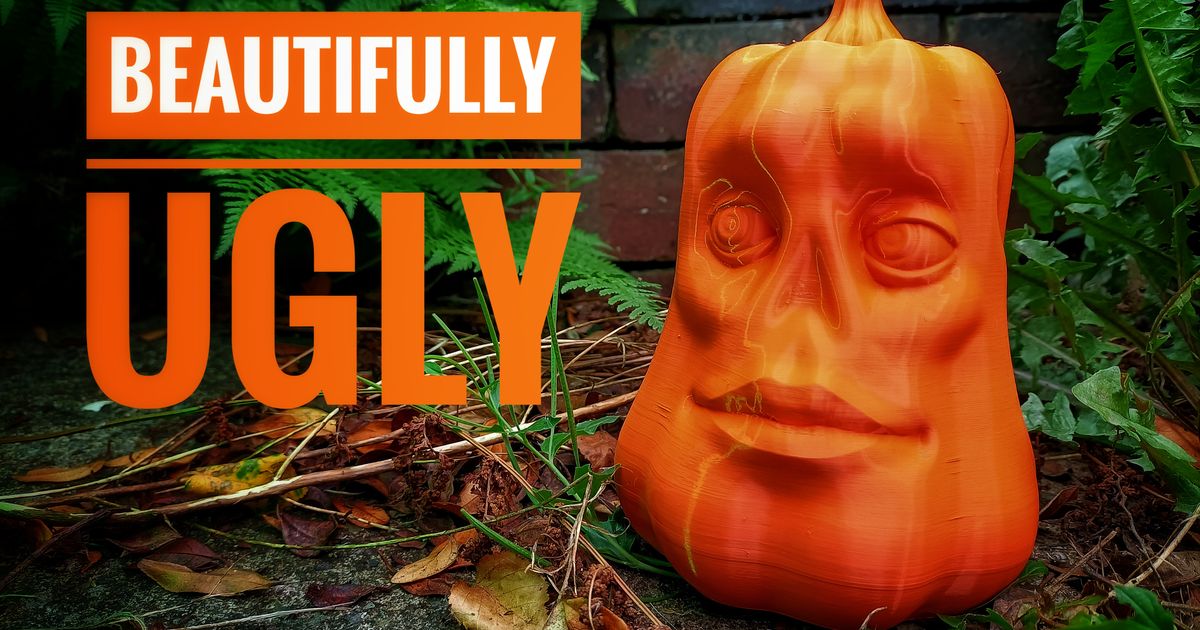 Beautifully Ugly by Bugman_140 | Download free STL model | Printables.com