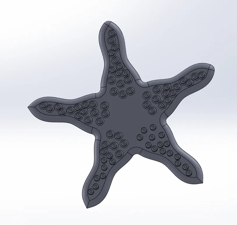 Bath Star by Kel Rossetti | Download free STL model | Printables.com