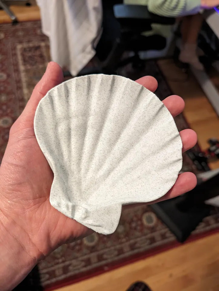 Lions Paw Scallop Seashell 3d Scan by iuferky | Download free STL model ...