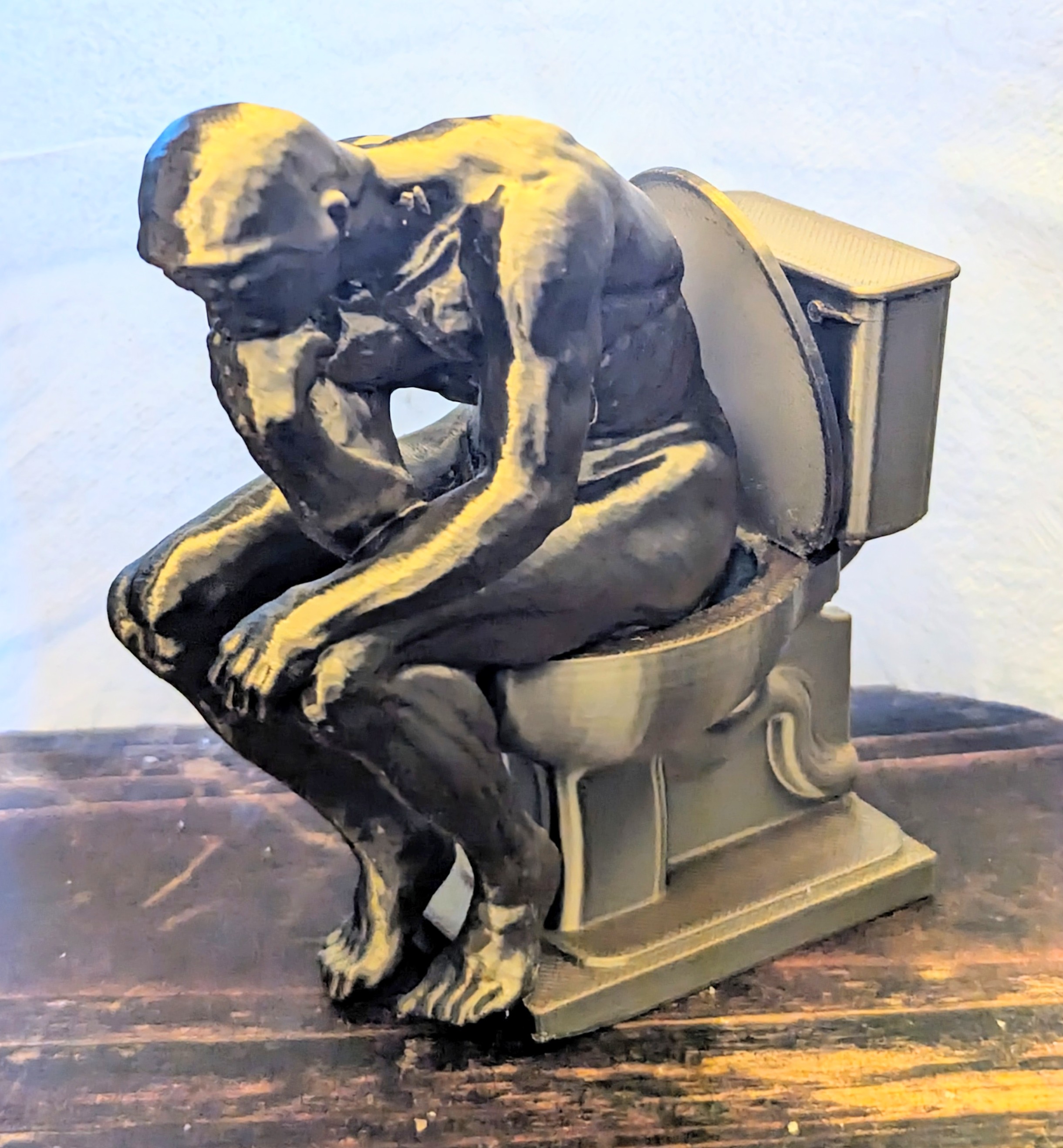 Toilet thinker by EF80 | Download free STL model | Printables.com