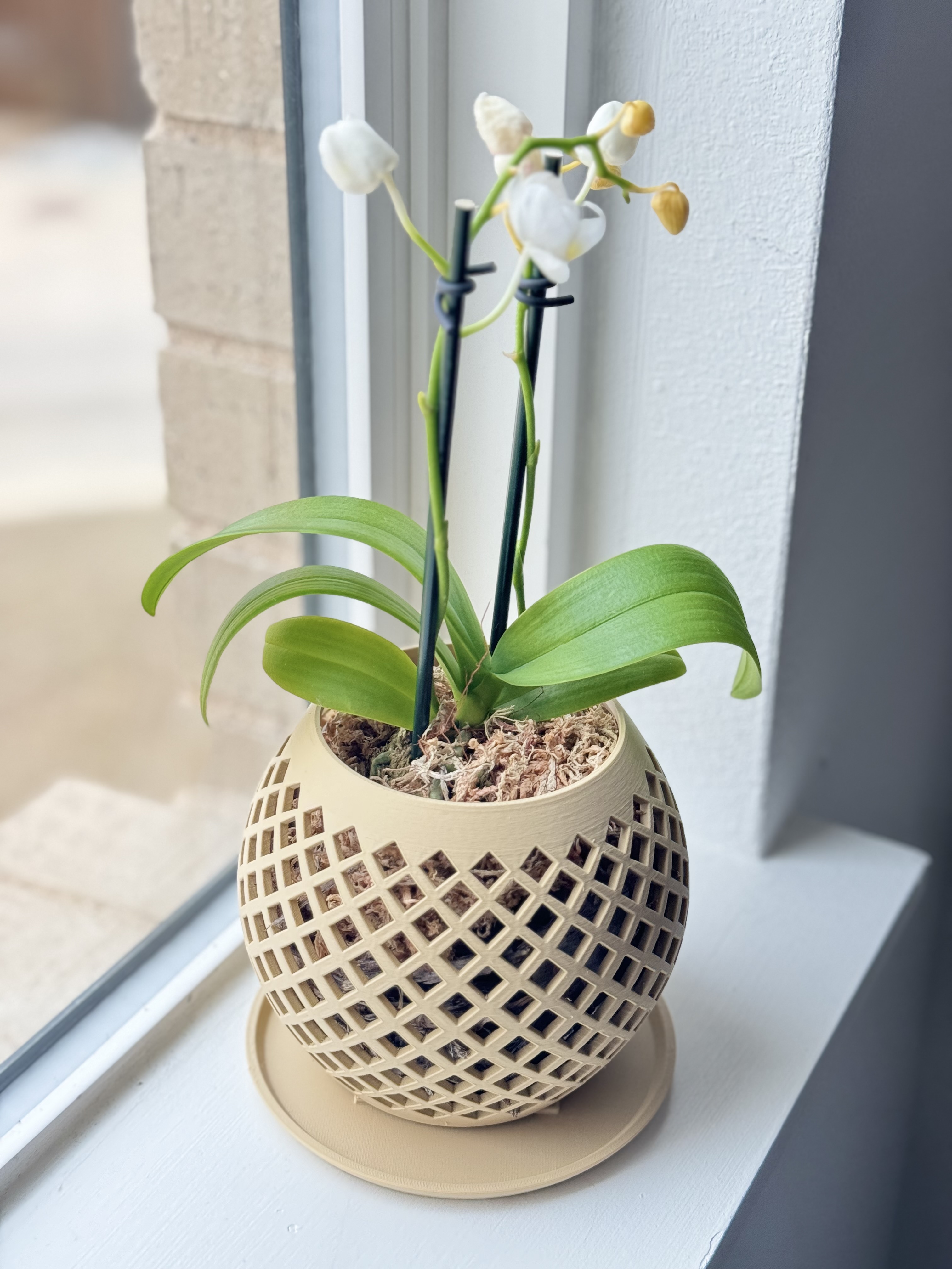 Orchid basket, round by bookworm112 | Download free STL model ...